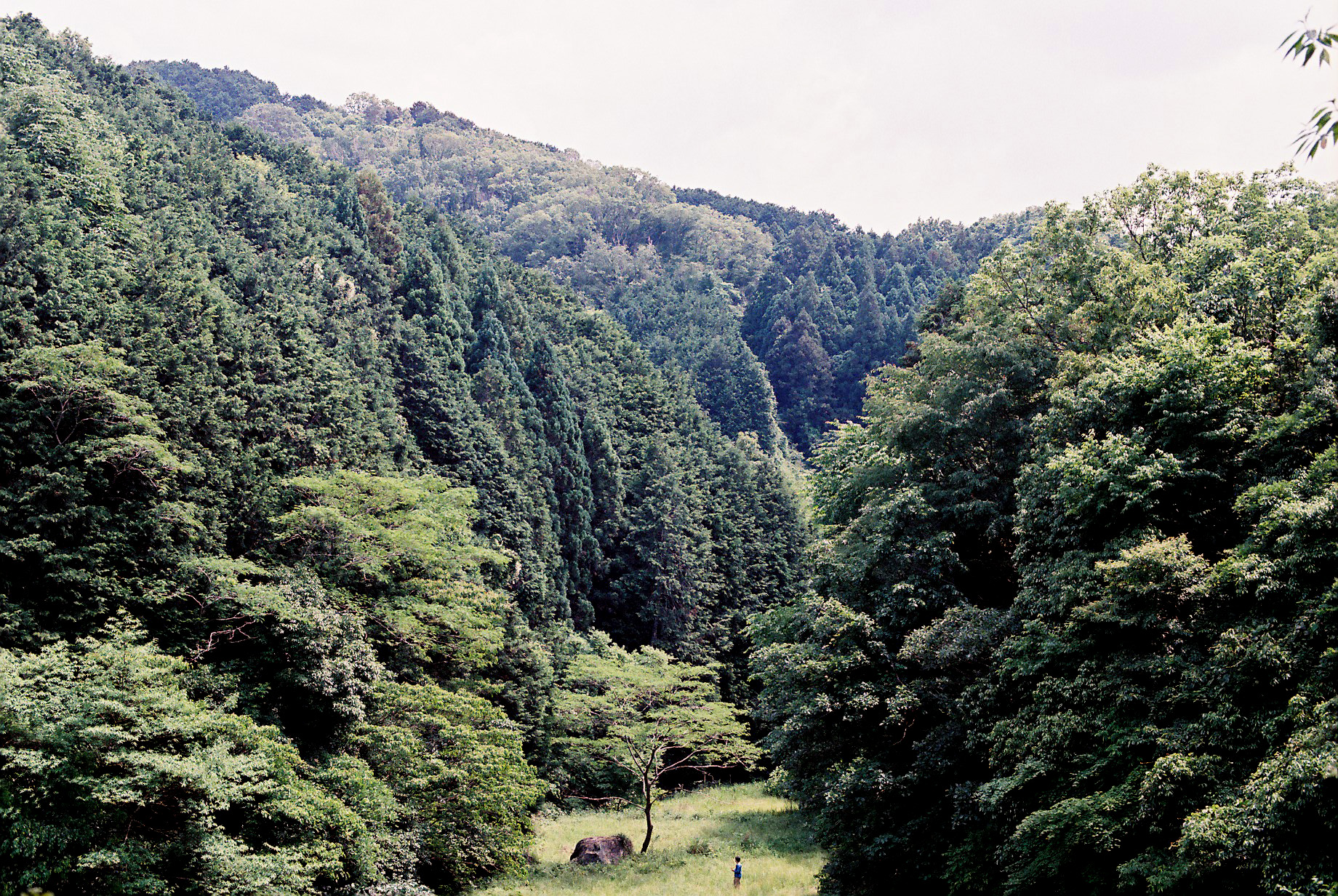 Obake (2019) review [PFF Festival] – psycho-cinematography