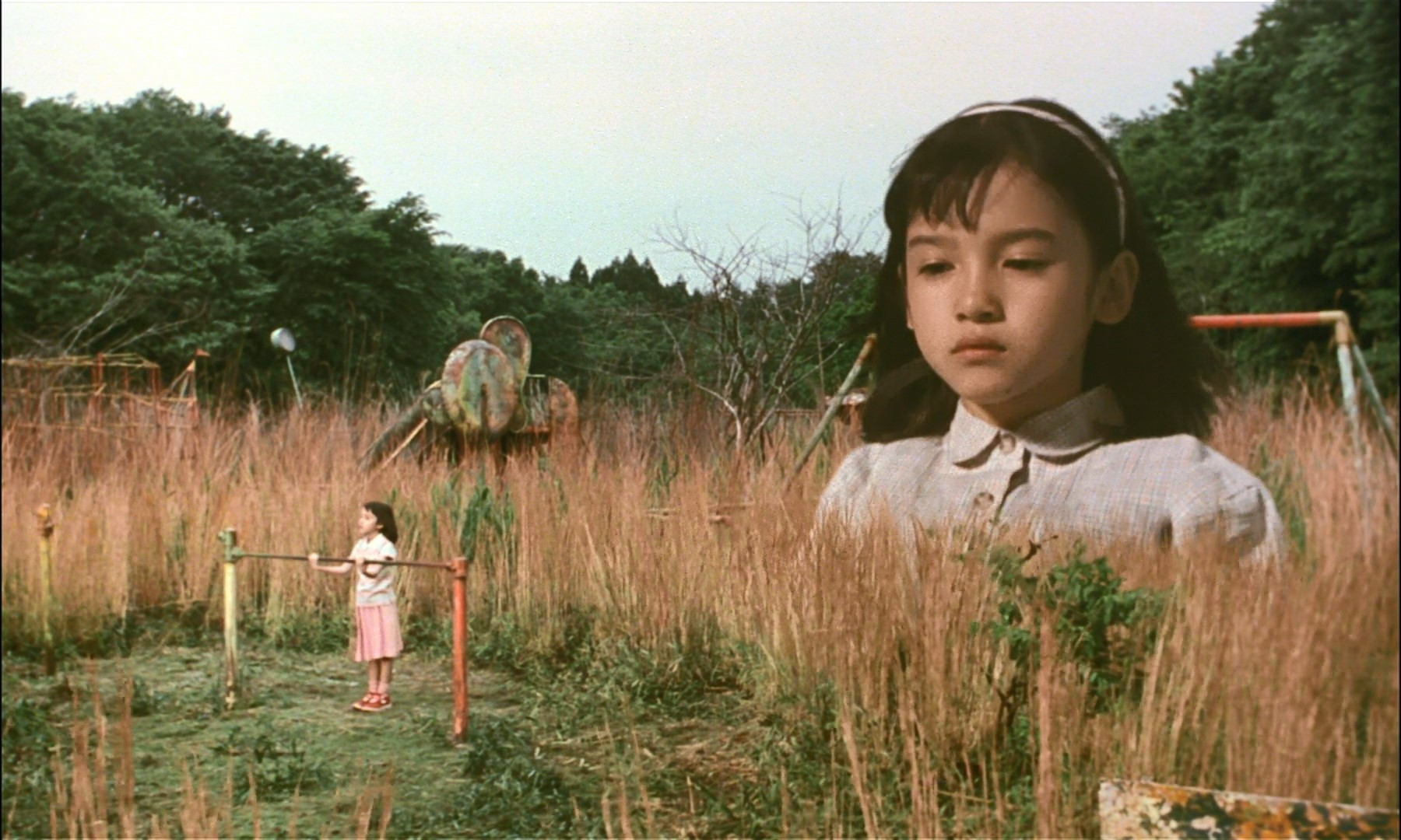 The Taste of Tea (2004) review – psycho-cinematography